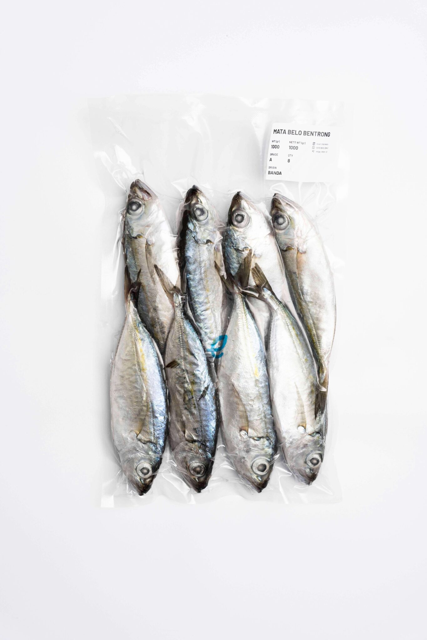 Fresh - eKan